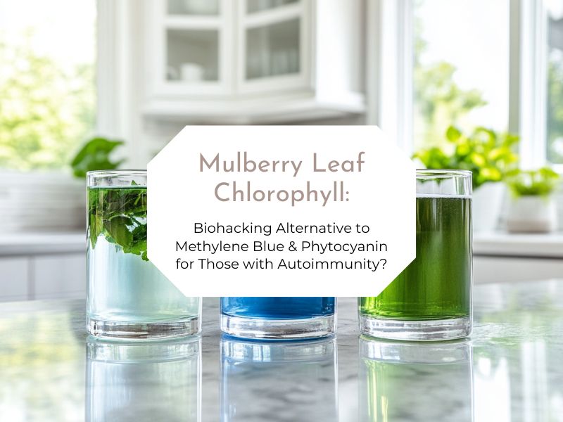 Mulberry Leaf Chlorophyll: A Biohacking Alternative to Methylene Blue ...